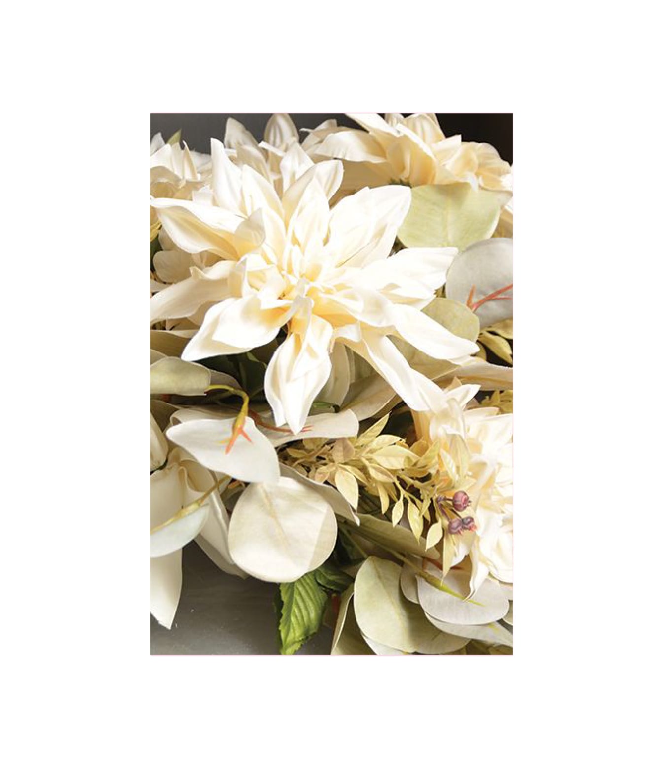 Fragrance Collection - Soft & Fresh